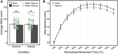 Frontiers | Visual processing of actions directed towards three-dimensional objects in immersive ...